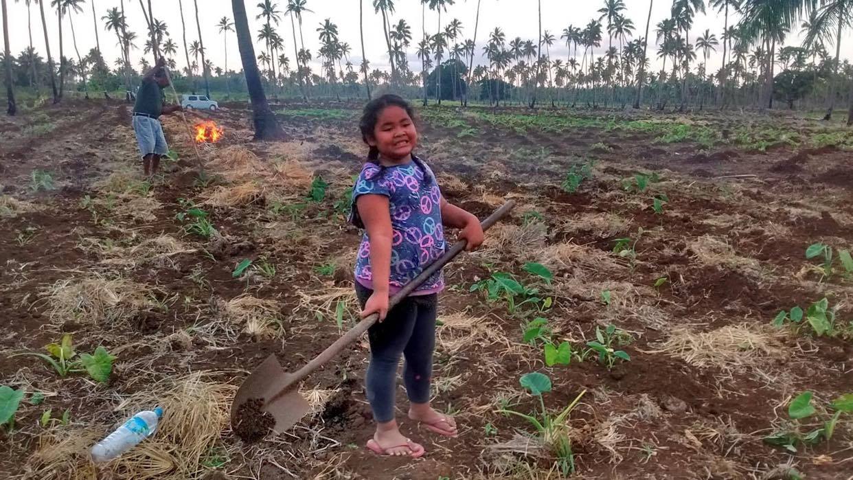 Agriculture – Tonga Meteorologial Services